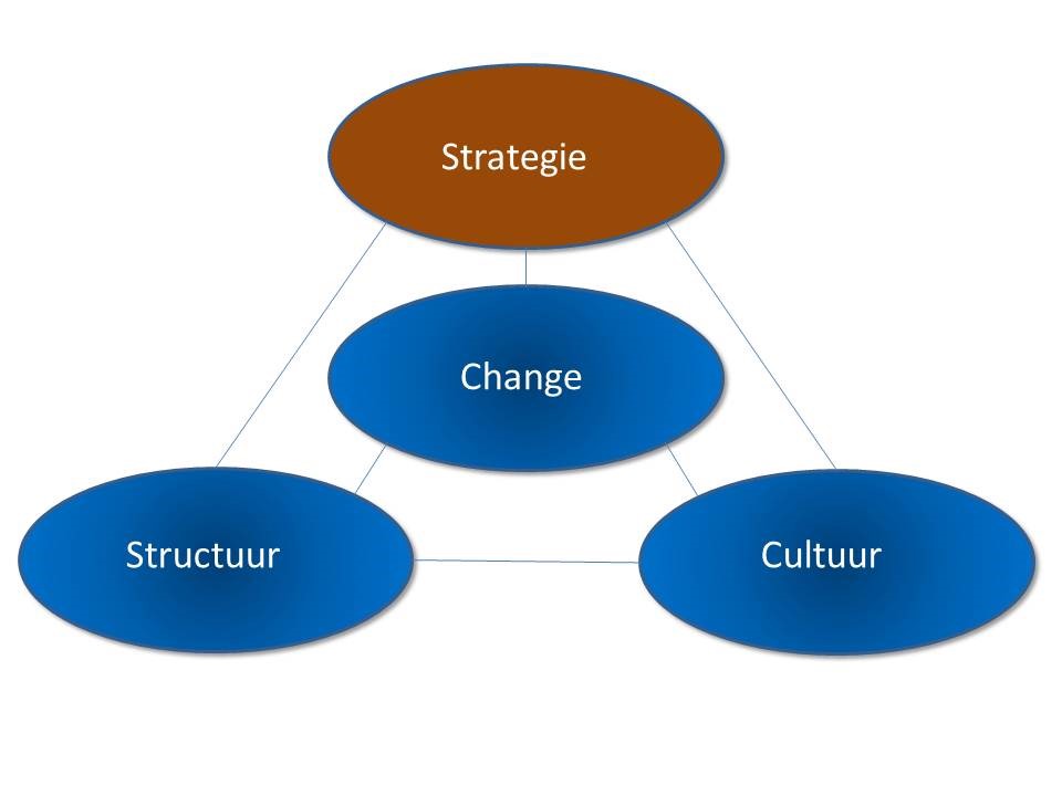Management & Strategie - Coaching | Training | SelecTrain