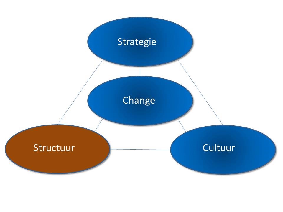 Management & Structuur - Coaching | Training | SelecTrain